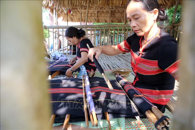 Da Nang preserves the culture of the Co Tu ethnic minority people - VNA ...