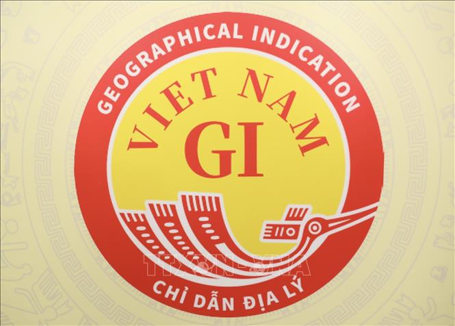 Vietnam National Geographical Indication logo revealed - VNA Photos ...