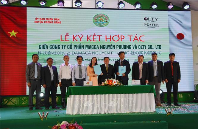 Đắk Lắk: Lễ xuất khẩu container Mắc ca Krông Năng chính ngạch đầu tiên ...