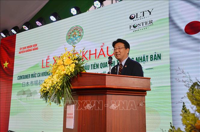 Đắk Lắk: Lễ xuất khẩu container Mắc ca Krông Năng chính ngạch đầu tiên ...
