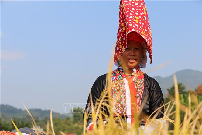 Bình Liêu - điểm đến hấp dẫn mùa du lịch thấp điểm - Ảnh thời sự trong ...