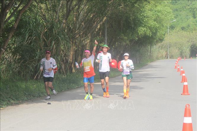 Ninh Bình: Giải Tràng An Marathon lần thứ II năm 2022 - Ảnh thời sự ...