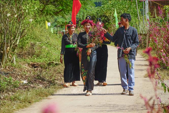 Cockscomb flower season marks Tet festival of Cong ethnic people - VNA ...