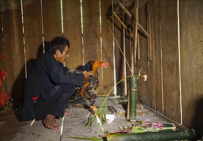 Cockscomb flower season marks Tet festival of Cong ethnic people - VNA ...