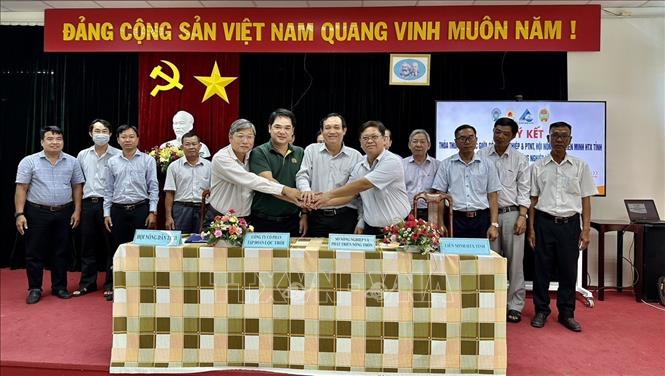 An Giang: Tập đoàn Lộc Trời liên kết và tiêu thụ 110.000 ha lúa vụ Đông ...