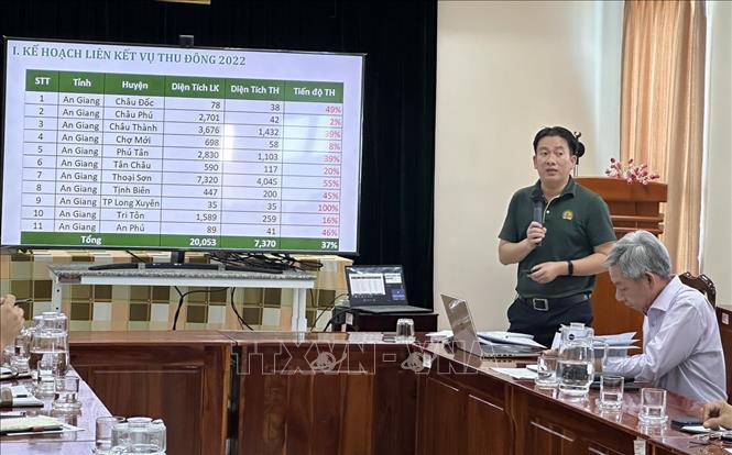 An Giang: Tập đoàn Lộc Trời liên kết và tiêu thụ 110.000 ha lúa vụ Đông ...