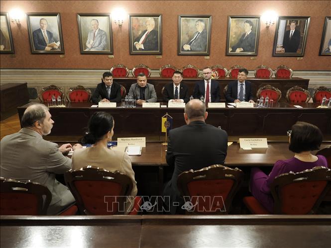 Việt Nam và Slovakia thúc đẩy hợp tác giữa các địa phương - Ảnh thời sự ...