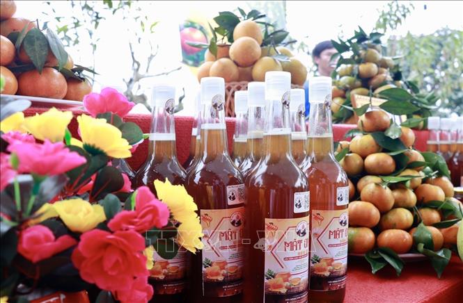 Yên Bái đón nhận văn bằng bảo hộ chỉ dẫn địa lý "chè Shan tuyết Suối ...