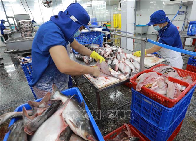 Fishery exports exceed 10 billion USD in 11 months - VNA Photos ...