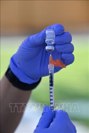 Pfizer xin cấp phép sử dụng vaccine chống biến thể Omicron cho trẻ dưới ...