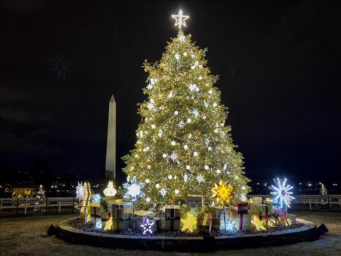 Cây thông Noel vẫn đắt hàng tại Mỹ bất chấp lạm phát - Ảnh thời sự quốc ...