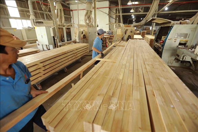 Vietnam strives to be global processing centre of export timber - VNA Photos - Vietnam News ...