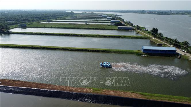 Dong Thap’s exports post record high growth in 2022 - VNA Photos ...