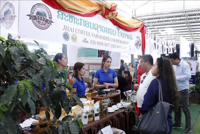 Vietnam attends Laos’ Bolaven coffee festival - VNA Photos - Vietnam ...