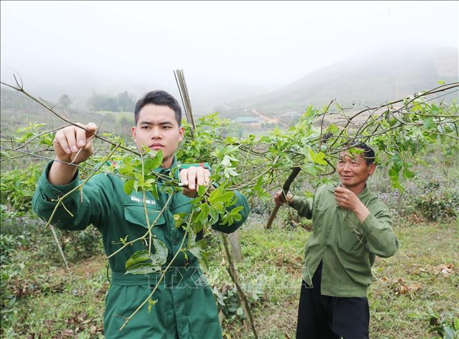 Đồn Biên phòng cửa khẩu Lóng Sập (Sơn La) giúp dân phát triển kinh tế ...