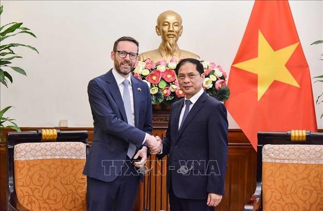 Vietnamese FM suggests expanding cooperation in areas of UK’s strength ...