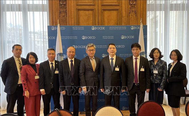 Vietnam joins Multilateral Convention to tackle tax evasion and ...
