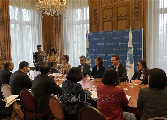 Vietnam joins Multilateral Convention to tackle tax evasion and ...