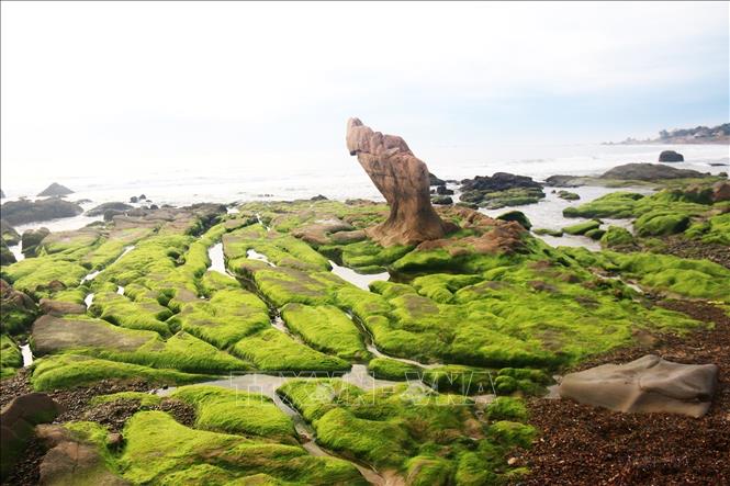 Binh Thuan attracts tourists with green tourism - VNA Photos - Vietnam ...