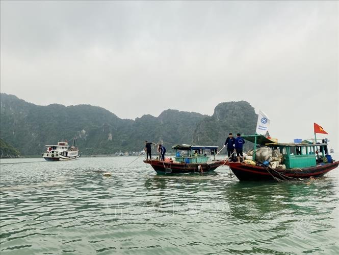 Thành phố Hạ Long ra quân thu gom rác thải trên Vịnh Hạ Long - Ảnh thời ...