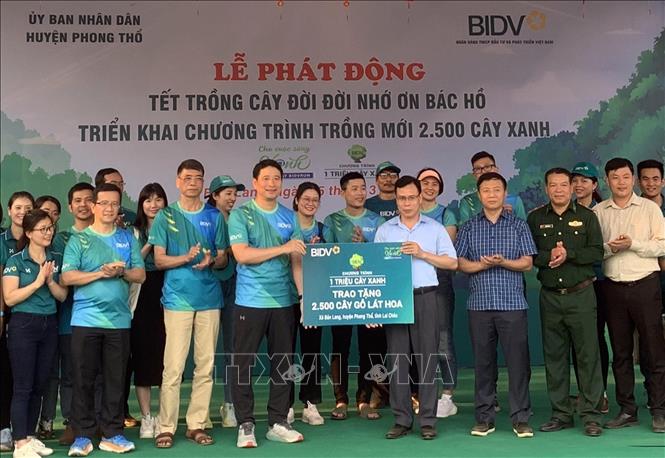 BIDV trồng 2500 cây xanh tại biên giới Lai Châu - Ảnh thời sự trong ...