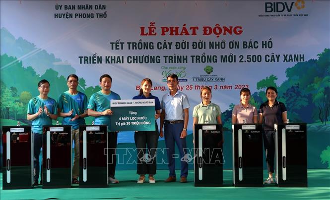 BIDV trồng 2500 cây xanh tại biên giới Lai Châu - Ảnh thời sự trong ...