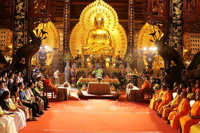 Sapling from world's longest-living Bodhi tree planted in Bai Dinh ...