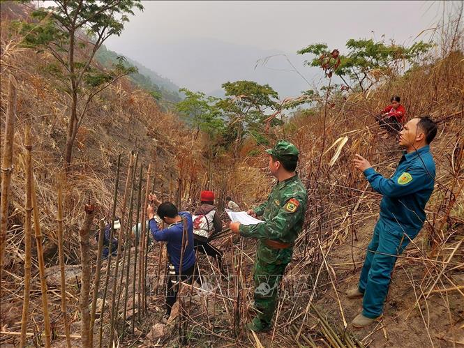 Vietnam-Lao joint border patrol held - VNA Photos - Vietnam News Agency ...