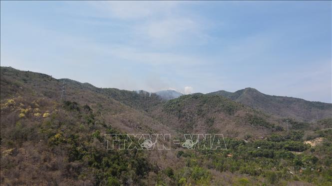 Bà Rịa-Vũng Tàu: Kịp thời khống chế vụ cháy rừng trên núi Dinh - Ảnh ...