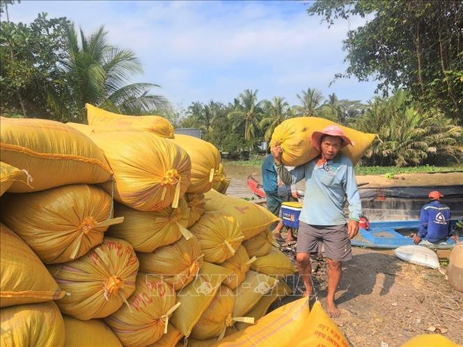 Vietnam exports 1.7 million tonnes of rice in Q1 - VNA Photos - Vietnam ...