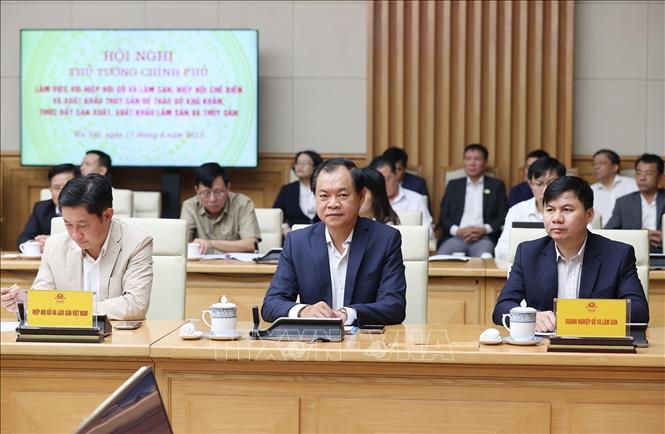 PM chairs conference on ways to tackle difficulties in forestry-fishery ...