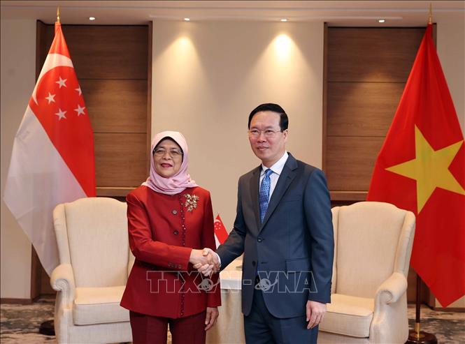 President meets Singaporean counterpart in London - VNA Photos ...