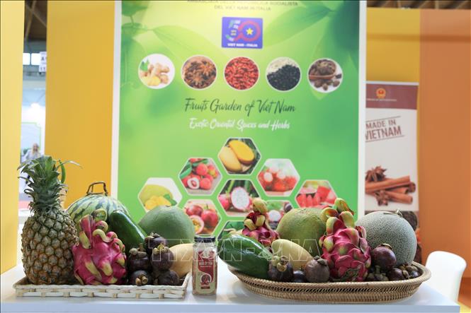 Vietnam showcases farm produce at Macfrut trade fair in Italy - VNA ...