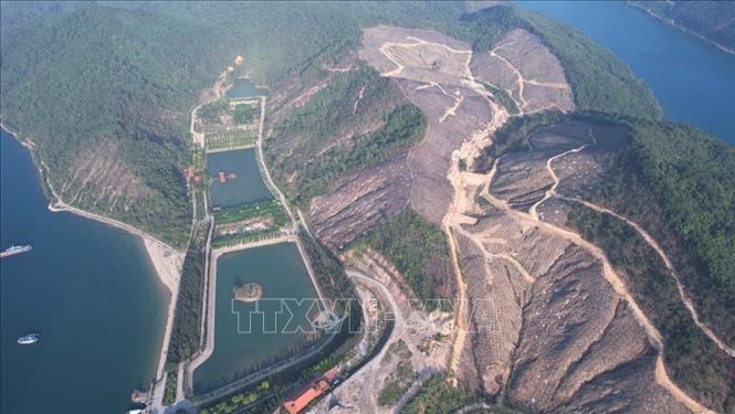 Quảng Ninh: Không có “vùng cấm” trong xử lý sai phạm trên Vịnh Hạ Long ...