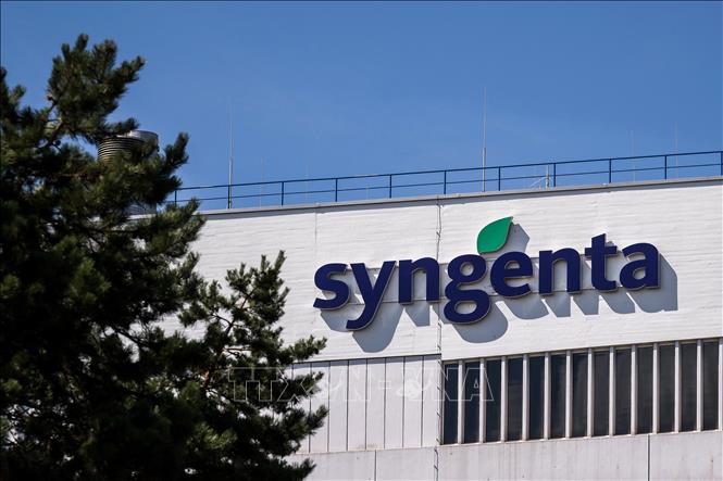Tòa án Pháp cấm bán thuốc diệt cỏ chứa glyphosate của hãng Syngenta ...