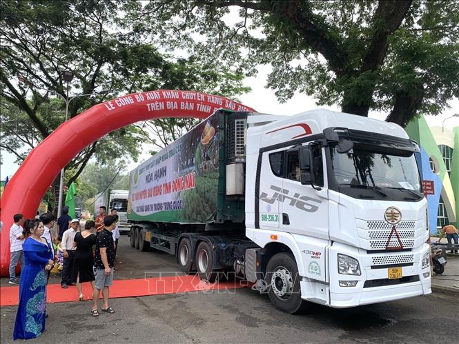 Dong Nai exports first shipment of durian to China - VNA Photos ...