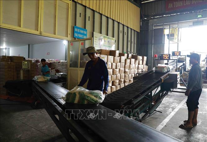 Tập đoàn Lộc Trời chủ động sản xuất, góp phần ổn định thị trường gạo ...