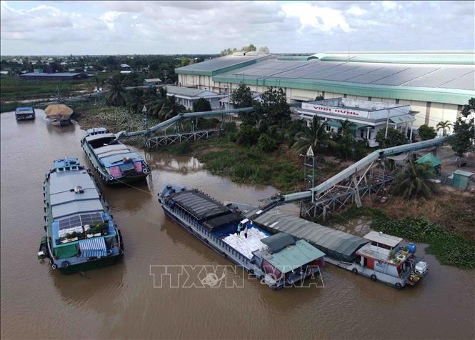 Tập đoàn Lộc Trời chủ động sản xuất, góp phần ổn định thị trường gạo ...