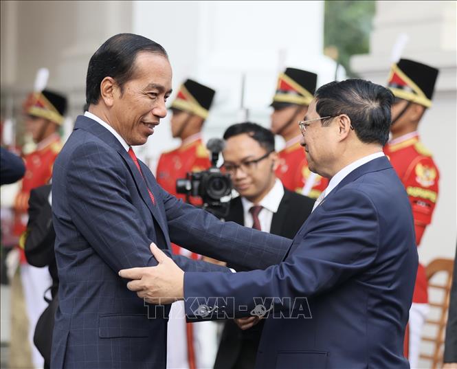 Vietnam Indonesia Eye Comprehensive Strategic Partnership Vna Photos