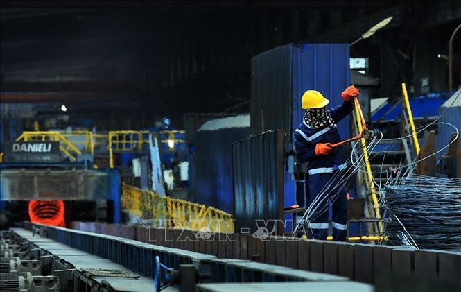 Hoa Phat Group sees surge in construction steel export - VNA Photos ...