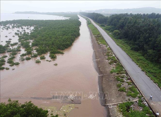 Hải Phòng nâng cấp hệ thống đê điều và công trình thuỷ lợi - Ảnh thời ...