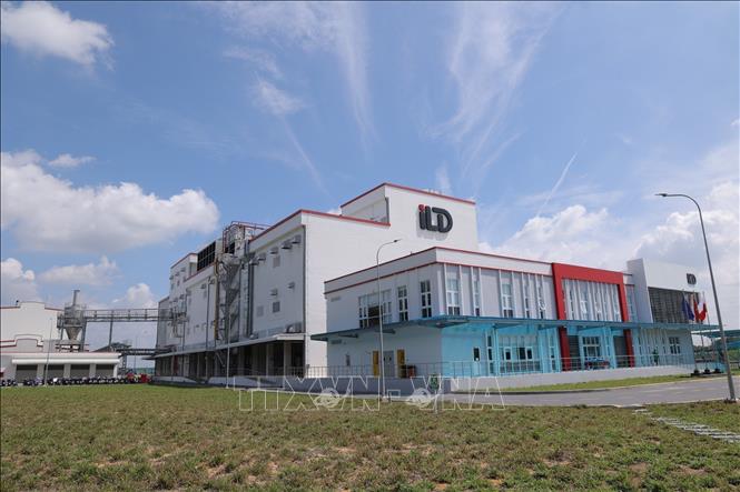 Freeze-dried instant coffee factory inaugurated in Binh Duong - VNA ...