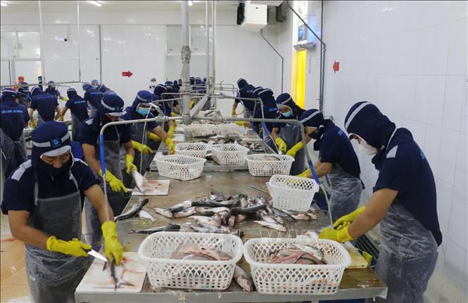 Agro-forestry-fisheries sector enjoys trade surplus of 9.3 billion USD ...