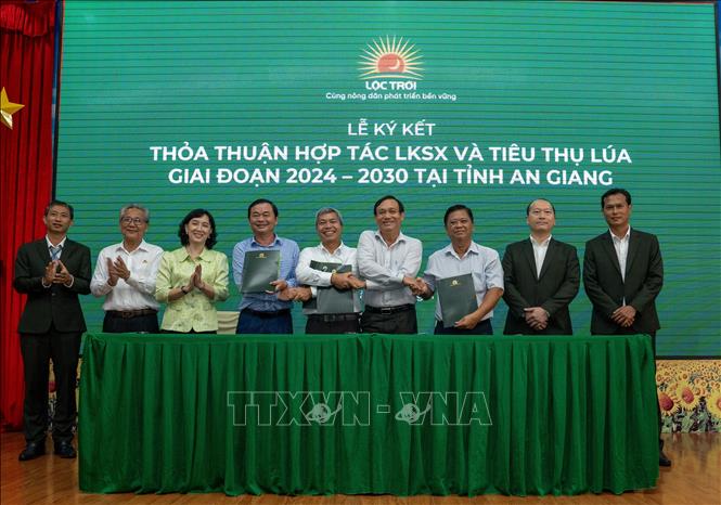 Tập đoàn Lộc Trời triển khai vùng nguyên liệu liên kết sản xuất lúa ...