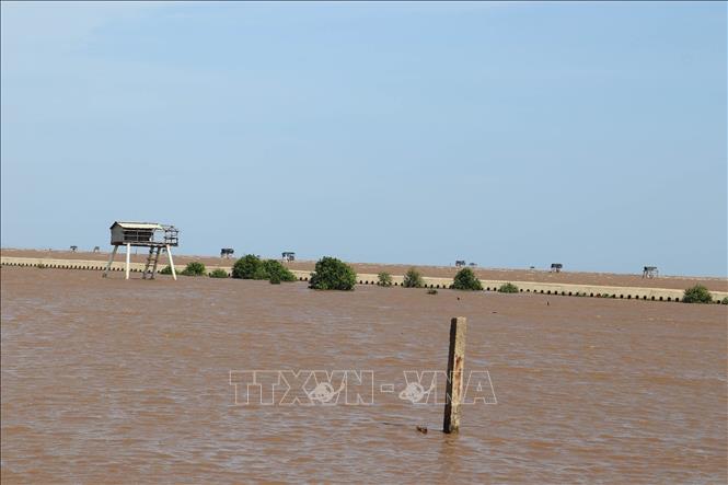 Tiền Giang hoàn thành nâng cấp đê biển Gò Công ứng phó biến đổi khí hậu ...