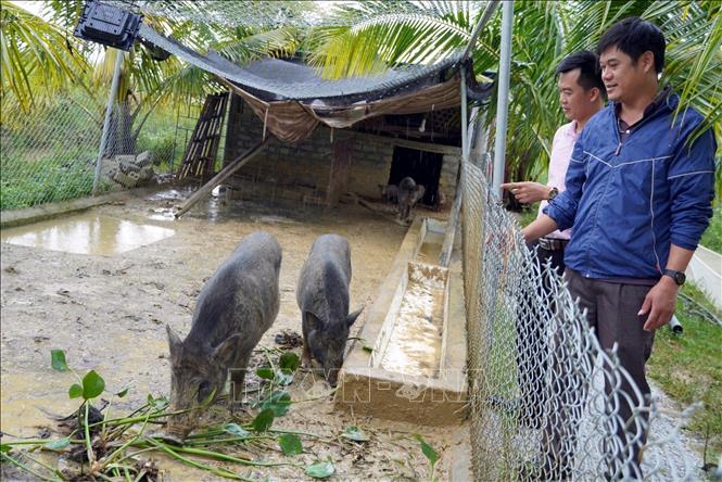 Thị xã Ba Đồn (Quảng Bình) nâng cao hiệu quả tín dụng chính sách - Ảnh thời sự trong nước - Kinh ...