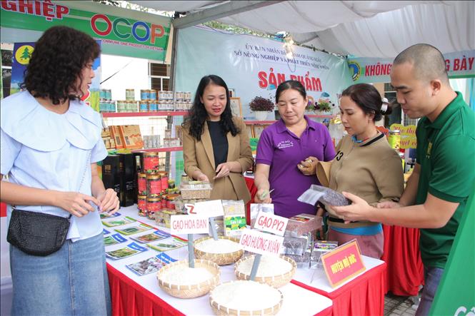 Quảng Ngãi: Tái cơ cấu nông nghiệp mang lại nhiều kết quả - Ảnh thời sự ...