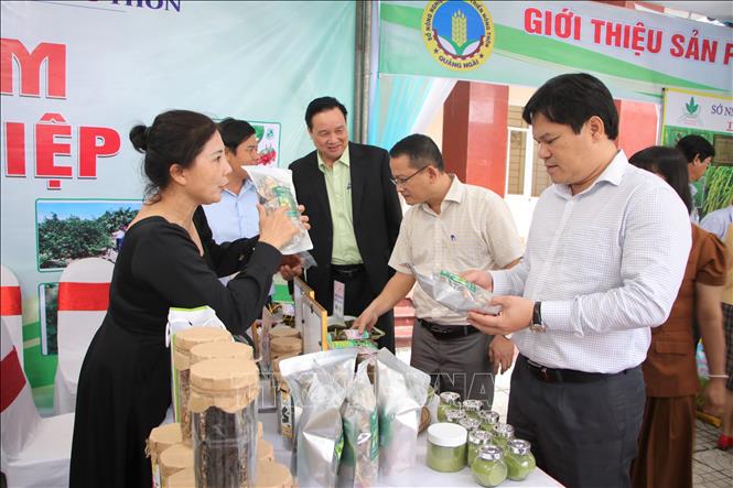 Quảng Ngãi: Tái cơ cấu nông nghiệp mang lại nhiều kết quả - Ảnh thời sự ...