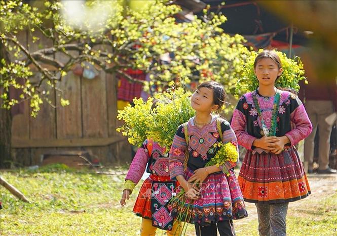 Moc Chau highland - peaceful retreat for the holidays - VNA Photos ...
