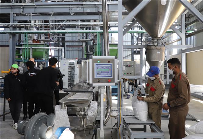 First Vietnamese factory inaugurated in Egypt - VNA Photos - Vietnam ...